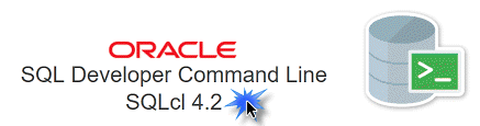 Oracle Application Express - APEX